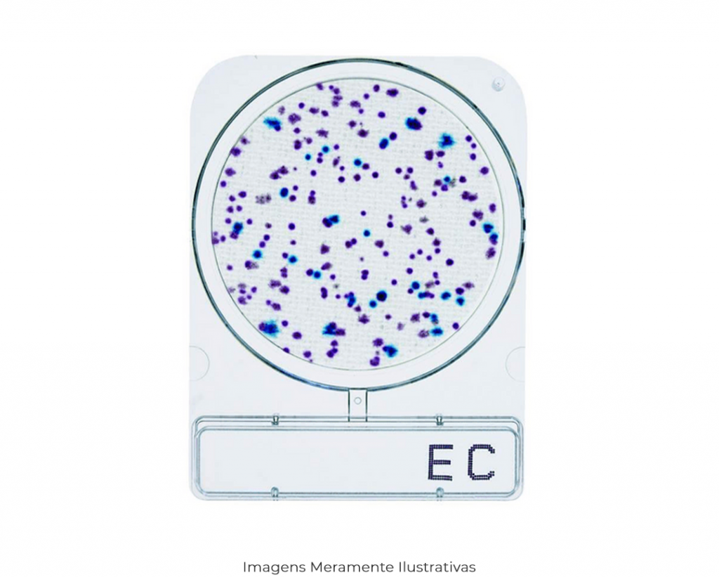 Compact Dry E. Coli EC